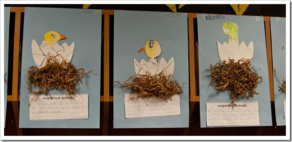 Oviparous Animals, Earth Day, & a Diphthong - Cara Carroll